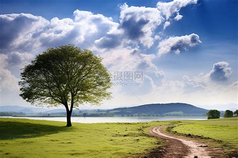 夏季郁郁葱葱的湖光山色景观高清图片下载 正版图片600955464 摄图网