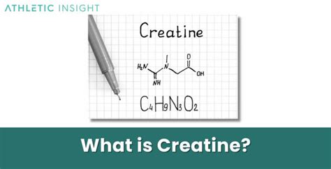 Creatine What Is It Importance Purpose Uses And Benefits Athletic Insight