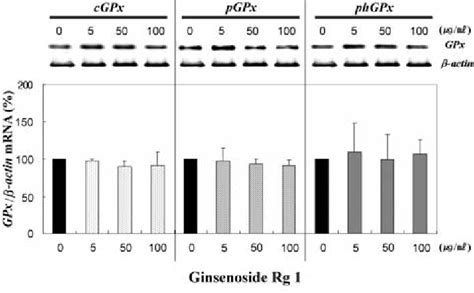 Rt Pcr Analysis Of Glutathione Peroxidase Gpx Mrnas In Rat Embryos