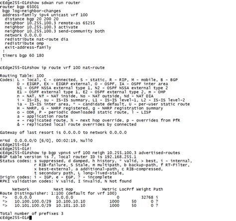Redistribute Nat Dia Into Bgp Or Ospf Issue Cisco Community
