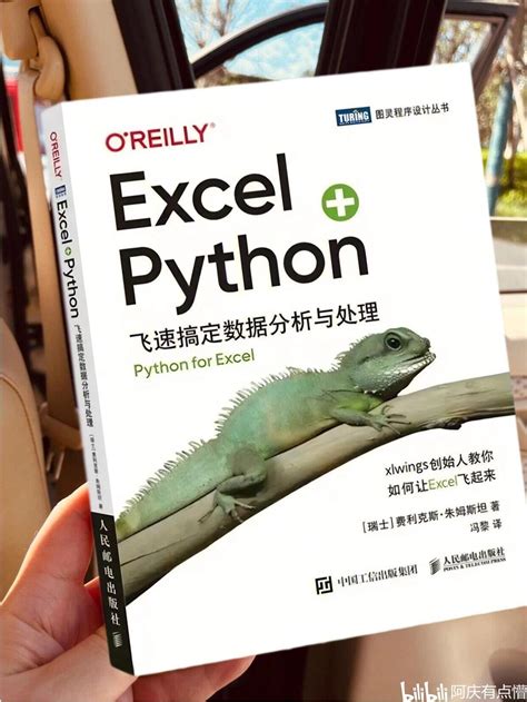 《excelpython飞速搞定数据分析与处理》电子版分享！ 哔哩哔哩