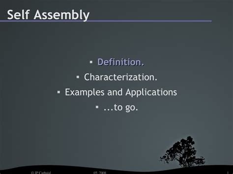 self assembly pdf
