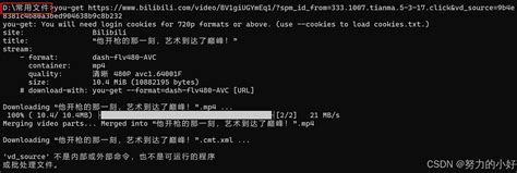 【github分享】you Get项目you Get Github Csdn博客