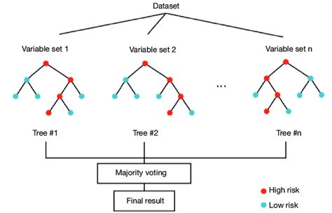 conceptual diagram of random forest algorithm averaging of many random