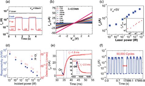 Photoresponse Properties Of The Ferroelectric Polarization Gating