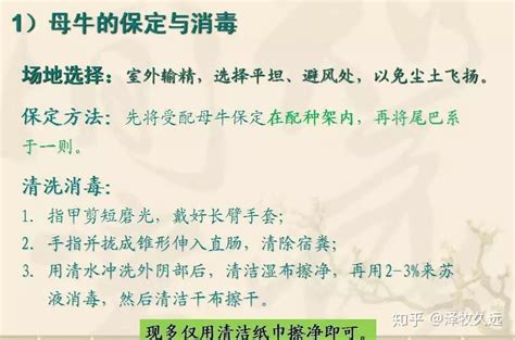 牛人工授精，全套详解来啦！（附图文） 知乎