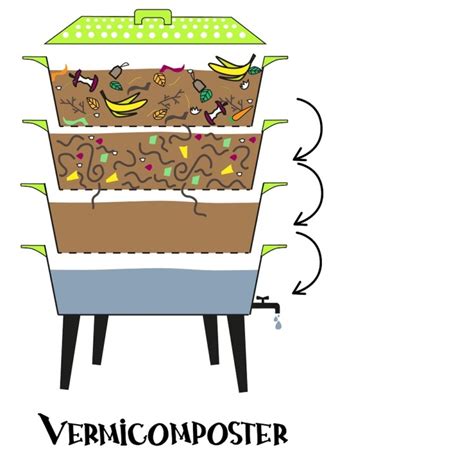 Vermicomposting How To Start Your Own Worm Bin