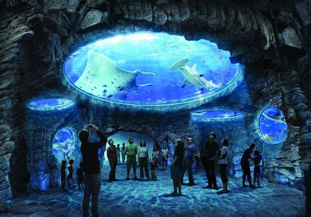 We Study The World New Aquarium At Hong Kongs Ocean Park