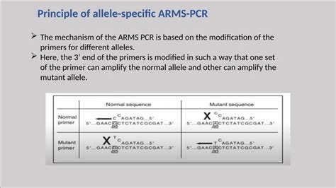 Allele Specific Polymerase Chain Reaction Pcr Pptx