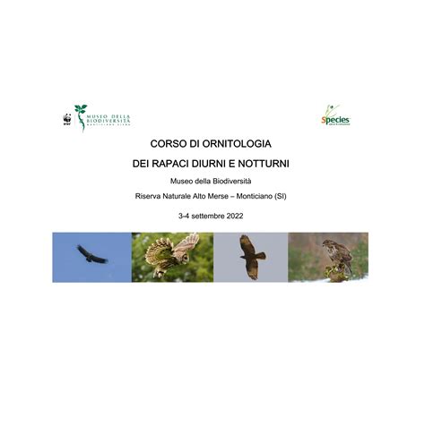 Museo della Biodiversità Siena CORSO DI ORNITOLOGIA DEI RAPACI