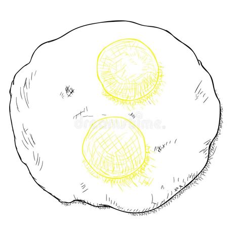 Ejemplo Del Vector De Fried Egg Ilustración Del Vector Ilustración De
