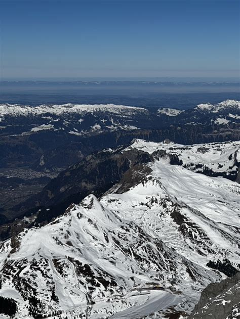스위스 신혼여행 그린델발트에서 융프라우 가는 방법 융프라우 투어 스위스안나 마이리얼트립 네이버 블로그