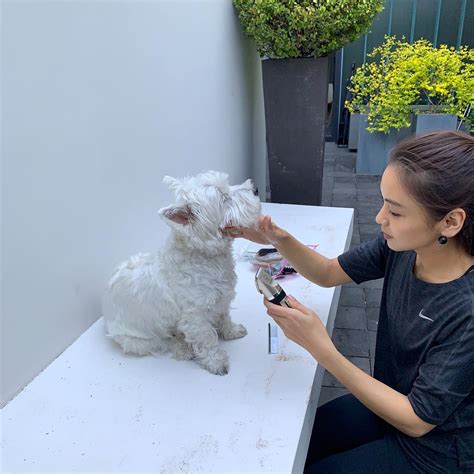 タキマキ うーちゃん 犬種 236278 タキマキ うーちゃん 犬種