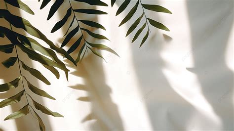 수수께끼 같은 실루엣 이국적인 식물이 질감 있는 흰색 종이에 그림자를 드리웁니다 나무 그림자 식물 그림자 잎 그림자 배경