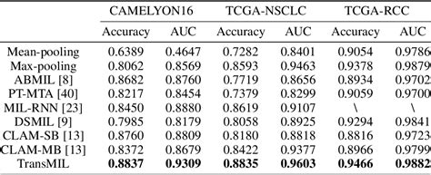 Table 1 From Transmil Transformer Based Correlated Multiple Instance