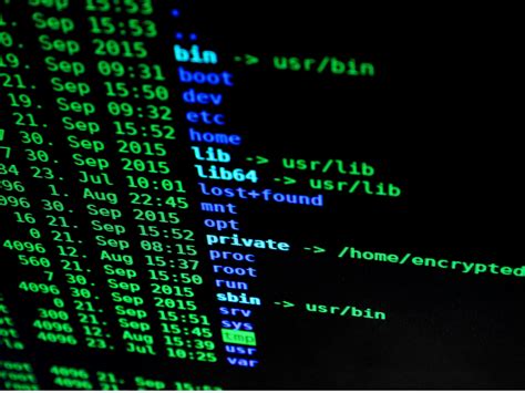 Cross Site Scripting · Monsec