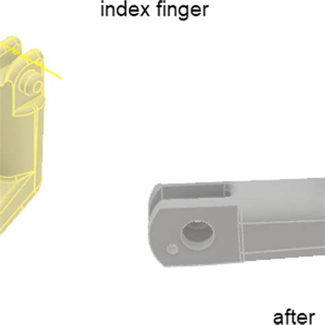 D Cad Model Representing The Ring Finger Complex Before And After The