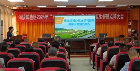 全面清理！海陵试验区“五一”将以良好形象迎接来客管理工作问题