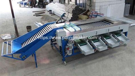 Full Automatic Litchi Fruit Size Sorting Grading Machine For Sale