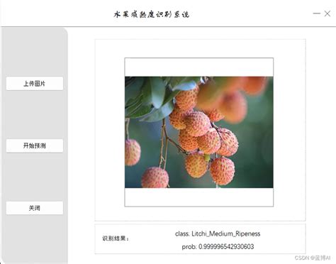基于卷积神经网络的水果成熟度识别，resnet50，vgg16模型（pytorch框架，python代码）水果识别模型 Csdn博客