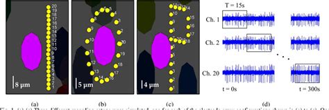 Figure 1 From Spike Feature Based Estimation Of Electrode Position In