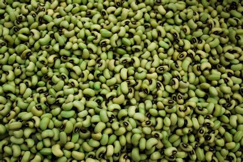 豆 食品 豆类 Pixabay上的免费照片