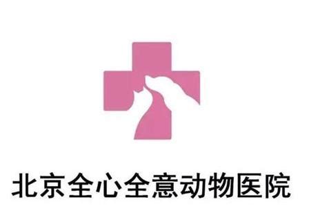 北京 维宠宠物导航网