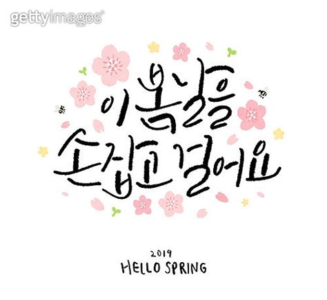 캘리그래피 문자 손글씨 봄 꽃 벚꽃 새싹 축하이벤트 사건 꿀벌 Jv11345060 일러스트 무료 일러스트 게티이미지뱅크