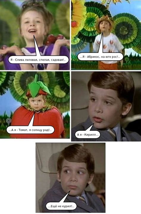 ﻿Я Абрикос на юге рос Я Слива лиловая спелая садовая Гнр У фруктовый сад фрукты