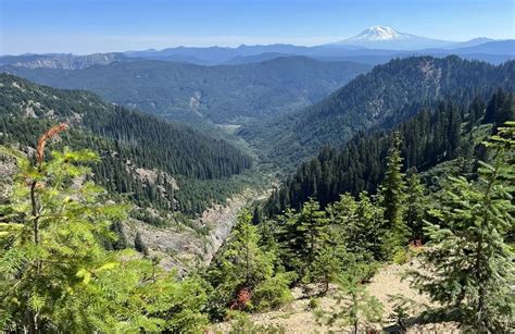 10 Best Hikes And Trails In Mount Saint Helens National Volcanic