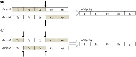 Crossover Progress A Single Point Crossover B Two Point Crossover