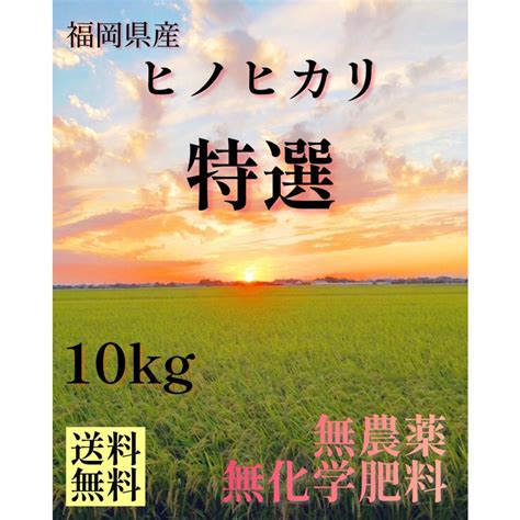 早期予約】【新米】特選 無農薬玄米 10キロ 10kg 福岡県産 ヒノヒカリ 令和6年産 送料無料 Tsgm010 九州野菜 江上