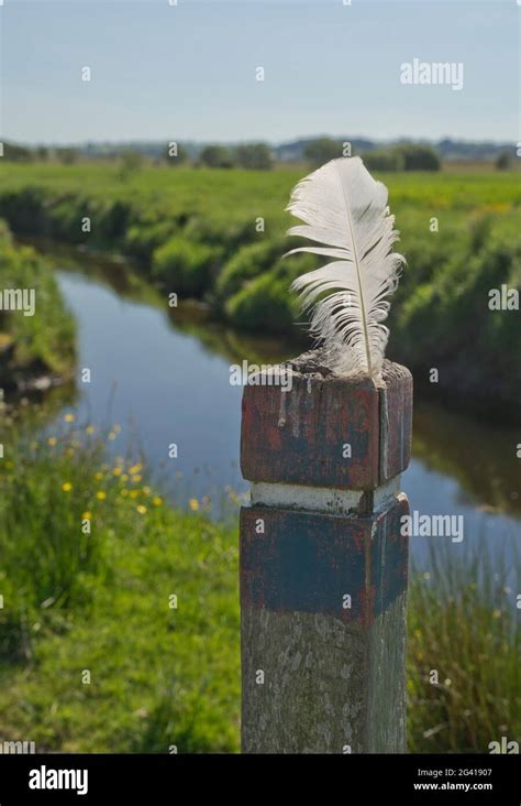 Cors Caron Riverside Walk Nature Trail In Ceredigion Wales Uk Stock