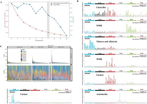 Racial Difference Of Mutational Signature In Hepatocellular Carcinoma