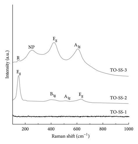 Raman Spectrum Of Ss And Tio2 Coated Electrodes Download Scientific