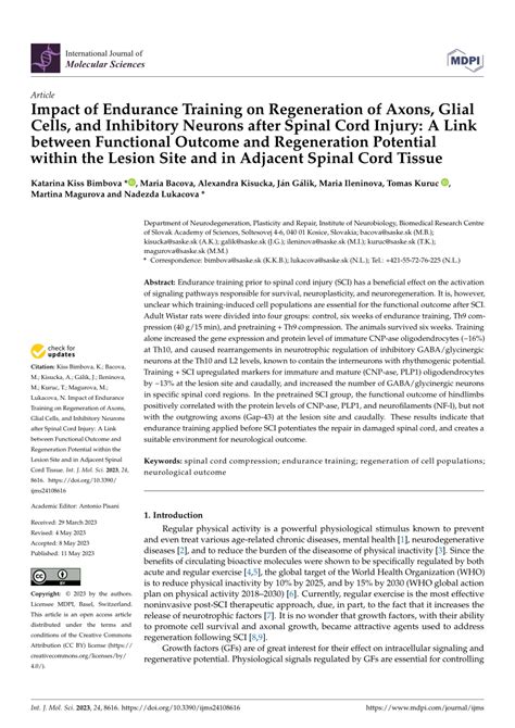 Pdf Impact Of Endurance Training On Regeneration Of Axons Glial