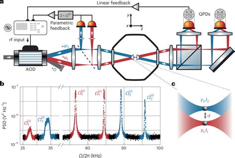 Programmable Tweezers For Multiparticle Trapping A Schematic Of The Download Scientific