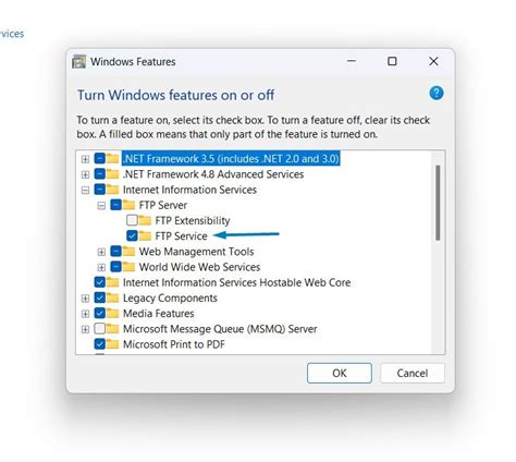Enable Ftp Publishing On A Web Server In Windows 11