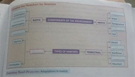 Wanplete The Flowchart For Revision Studyx