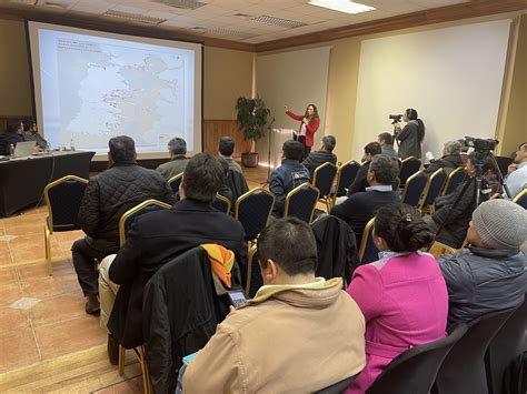 Región de Aysén aborda desafíos y oportunidades del salmón en torno a