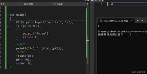 C语言文件操作（具体操作）c语言文档 Csdn博客