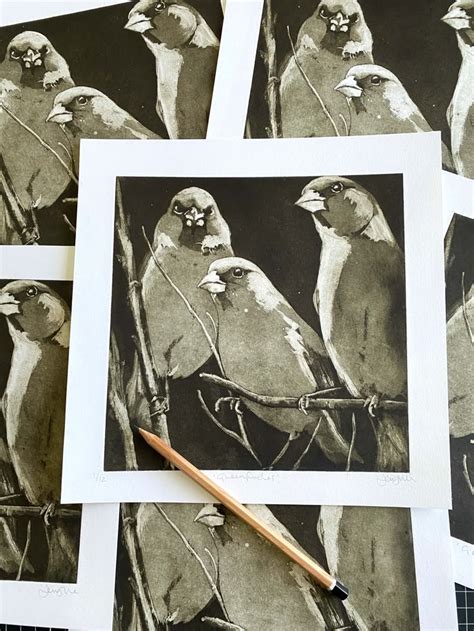 Jenny Mccabe Artist Printmaker Collagraph Printmaking Printmaking
