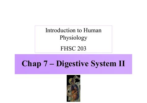 SOLUTION: Digestive System Physiology (part 2) - Studypool