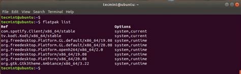 How To Install And Use Flatpak On Linux