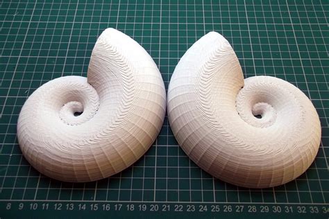 หอย Nautilus Shell 3D Printing Service Thai3DPrint