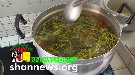 သျှမ်းကန်စွန်းရွက် အချဉ်ဟင်းရည် Youtube