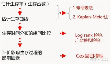 初学者如何理解cox回归和hr值 知乎