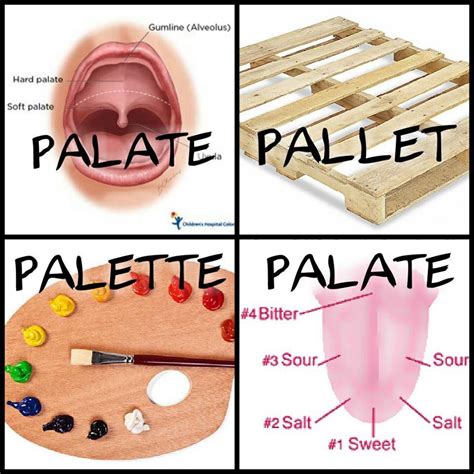 Cleft Connect What Is A Cleft Palate A Cleft Palate Is A Split Or