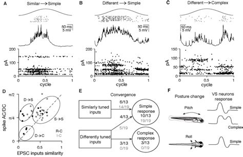 spiking tuning complexity of vs neuron is partially explained by the