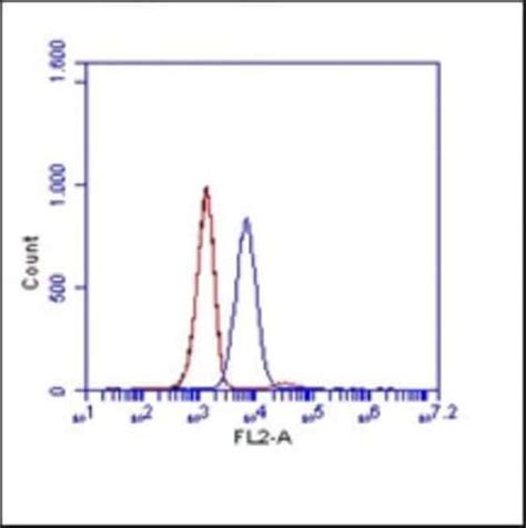 OSCAR Antibody 5B8 Novus Biologicals 50 μg Unconjugated Fisher